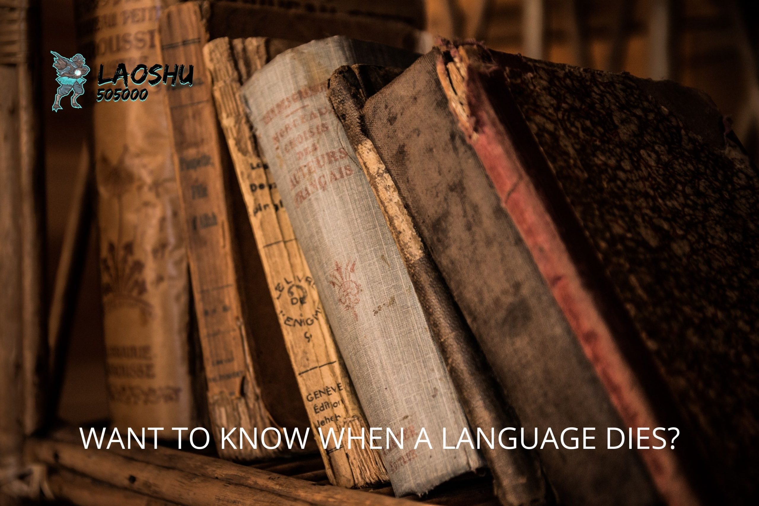 ALL YOU NEED TO KNOW ABOUT LANGUAGE ENDANGERMENT AND WHAT HAPPENS WHEN ...